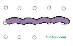 Backstitch: Outlines and thin details ⋆ Sirious Stitches Advanced Cross ...